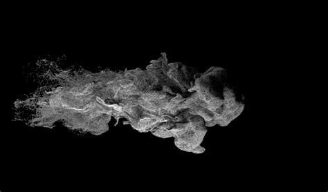 particle advection on behance