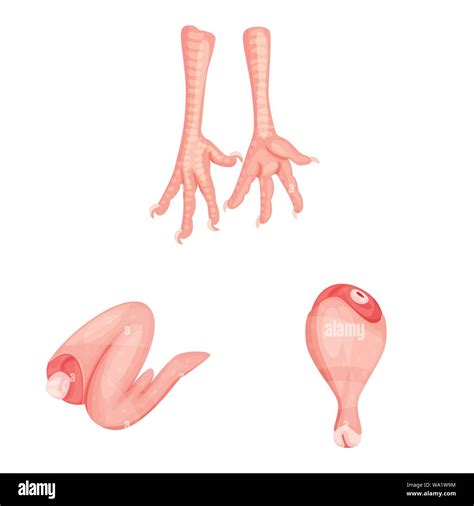 Vector Vectors Stock Vector Image Art Alamy