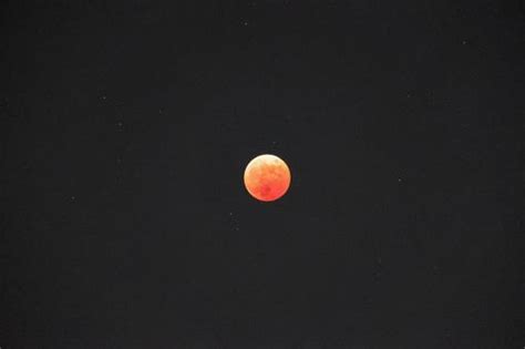 무료 사진 제목