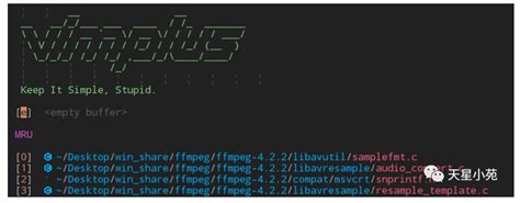 一个超级强大的vim 配置介绍：vimplus 良许linux教程网