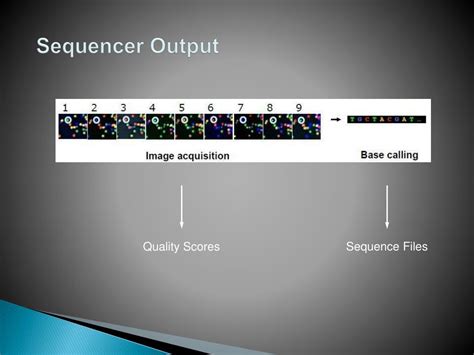 PPT Next Generation Sequencing PowerPoint Presentation Free Download ID