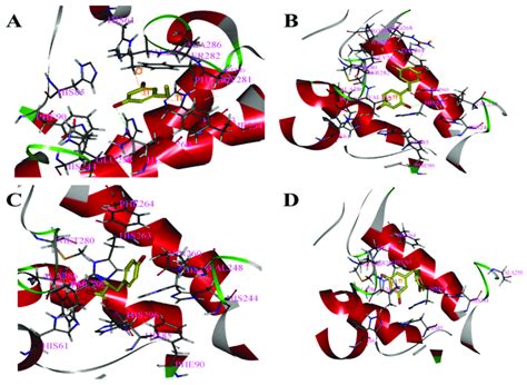 Binding Patterns Of Four Compounds Carbons In Yellow In The Binding Download Scientific