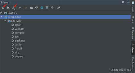 从零搭建springboot web单体项目【基础篇】1、idea搭建springboot项目 源码巴士