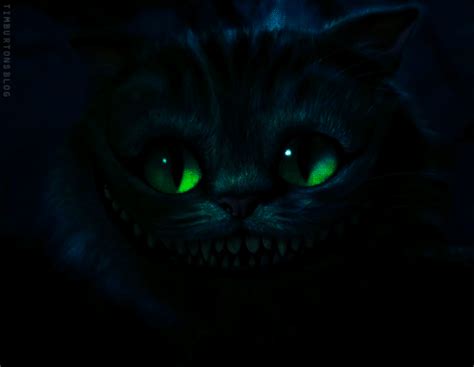 Toothless Is That You Album On Imgur Toothless Is That You Album On Imgur