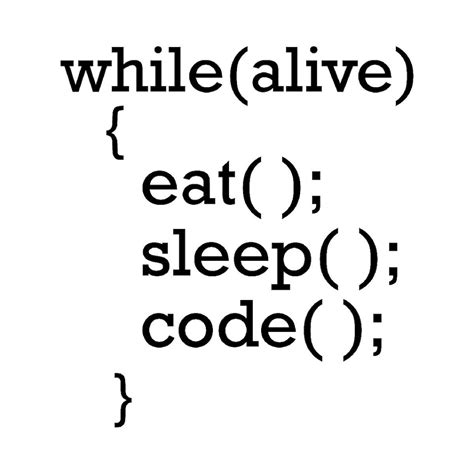 While Alive Eat Sleep Code Funny Programmer Quote Clever Etsy