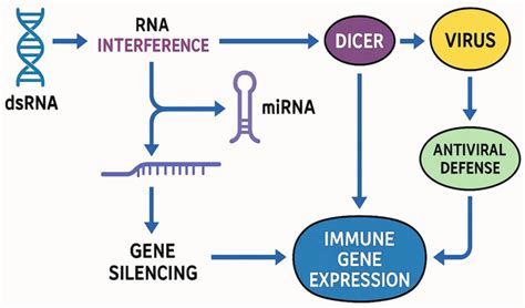 Advanced Molecular Biology Techniques In Innate Immunity Springerlink