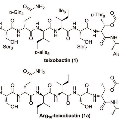 Structures Of Teixobactin 1 And Arg10 Teixobactin 1a Download Scientific Diagram