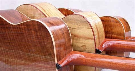 Custom Stringed Instrument Details Gallery