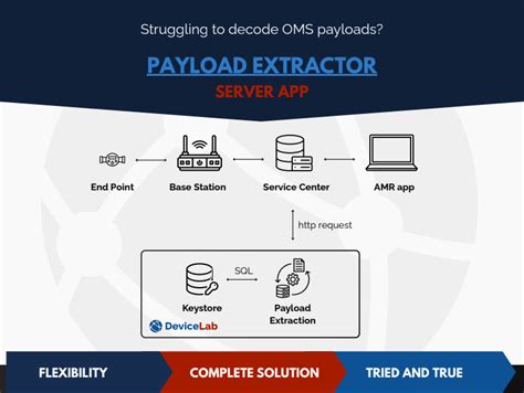 Devicelab Payload Extractor On Premise Software Mioty Alliance