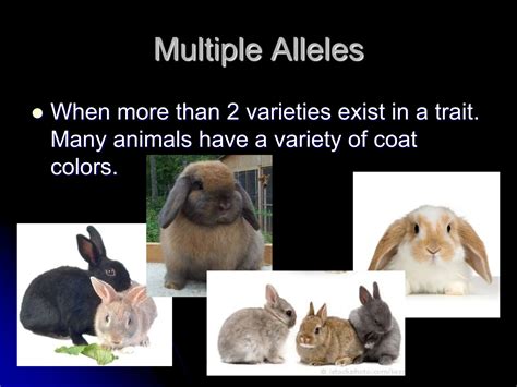 Heredity Inheritance And Variation Lesson In Science 9 Ppt