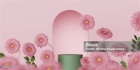 3d 디스플레이 연단 파스텔 핑크 데이지 꽃 배경 거베라 꽃 자연 최소한의 받침대 아름다움 화장품 프리젠 테이션 여성 녹색 복사 공간 템플릿 3d 렌더링 3차원 형태에 대한
