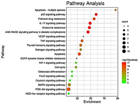 Top 20 Kegg Signal Pathways Download Scientific Diagram