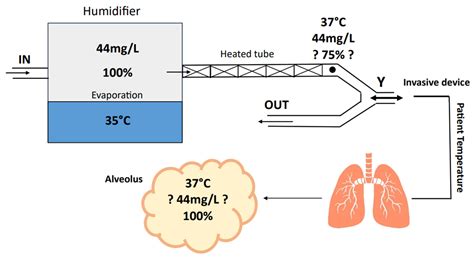 Humidification During Invasive And Non Invasive Ventilation A Starting