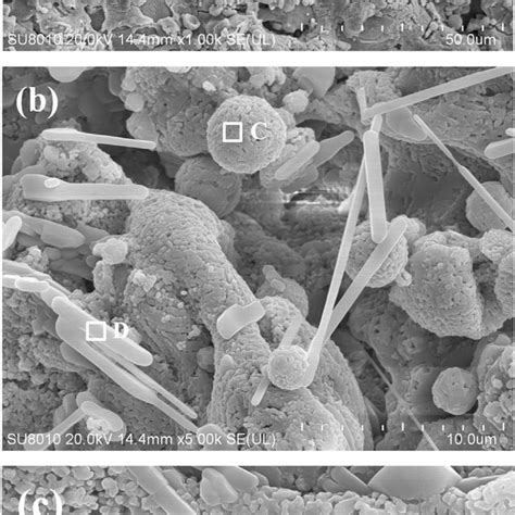 A Sem Micrographs Of The Top Surface Of The Coating After 100 H