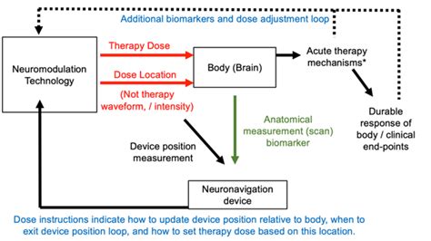 Neuromodulation Design And Biomarkers News Neuromodec