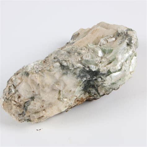 Assorted Rock Specimens With Bivalve Ebth