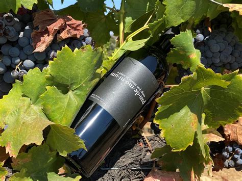 Fazeli Cellars 2016 Pandemonium Temecula Wine Ratings