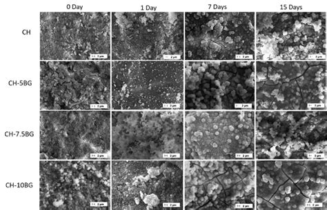 Sem Micrographs For Blends Based On Homogeneous Calcium Aluminate