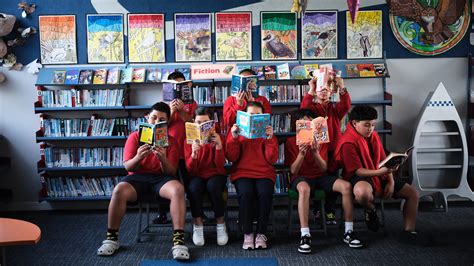 Summer Reading Programmes Books In Homes