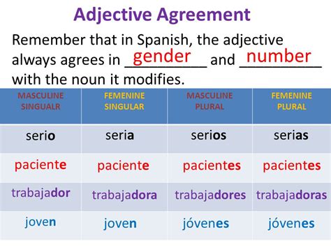 How Can I Use Adjectives In Spanish Las Clases De La Señora Beltrán