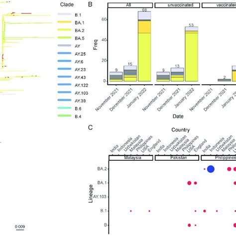 phylogenetic analysis of sars cov 2 a maximum likelihood