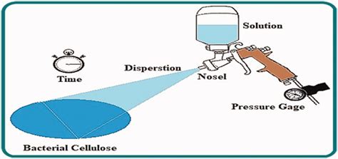The Schematic Representation Of A Spray Coating Method To Synthesize