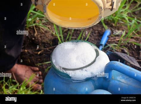 A Man Farmer Pouring Herbicides And Chemical Into Container In Green Field Foam Is Coming Out