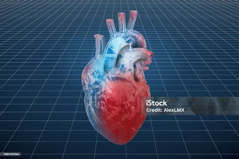 시각화 인간의 마음 3 차원 렌더링 3 차원 Cad 모델 인공적인에 대한 스톡 사진 및 기타 이미지 인공적인 청사진