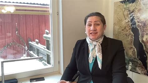 ضرغامی اگر می توانست پاسارگاد را مانند مجسمه های بودا در افغانستان