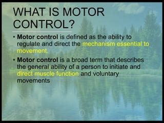 Motor Control And Plasticity In Psychology PPTX Brain And Nervous System Disorders