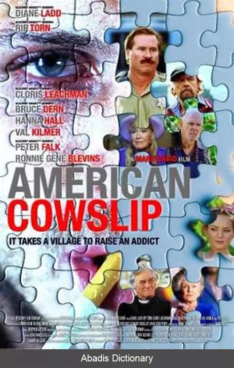 گاوچران امریکایی معنی در دیکشنری آبادیس