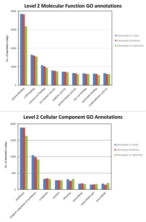 Distribution Of Second Level Cellular Component And Molecular Function