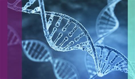 Introducing SureSelect Cancer All In One Agilent