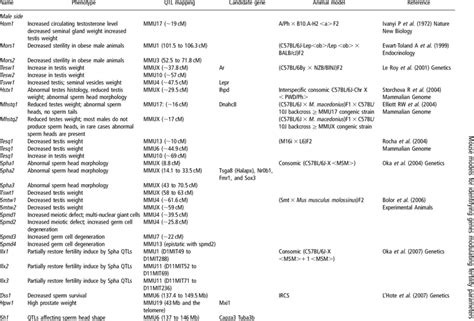 Quantitative Trait Loci Qtl Modulating Fertility Parameters In Mice Download Table