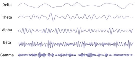 eeg 脑电监测技术