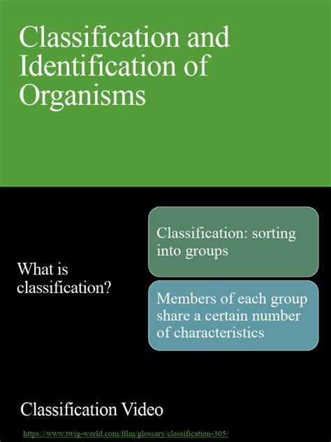 Classification Pdf Foreign Language Studies Science And Mathematics