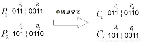 第一次学习优化算法之遗传算法、粒子群算法遗传算法 狼群算法 粒子群算法 Csdn博客