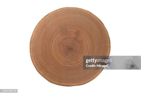 Log Slice Photos And Premium High Res Pictures Getty Images