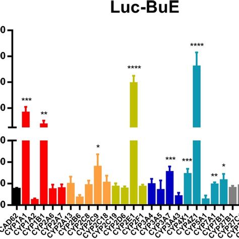 Enzymatic Activity Of Individual Human Cyp Enzymes Included In