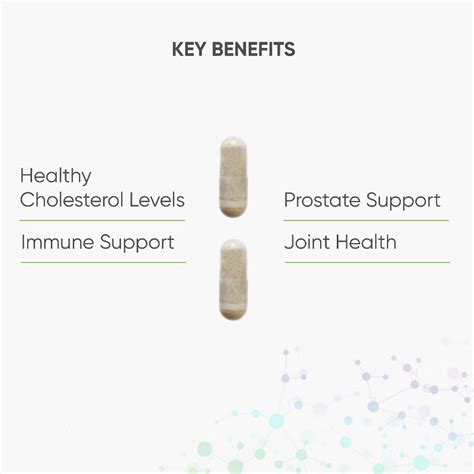 Buy Plant Sterol Complex 30 Capsules Metagenics Uk Fast Shipping