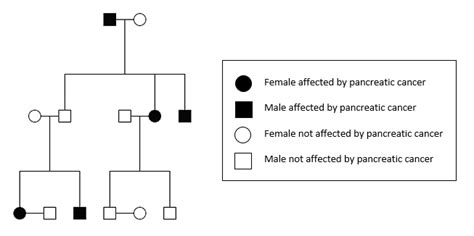 Genetic Testing For Pancreatic Cancer Pancreatic Cancer Action Network
