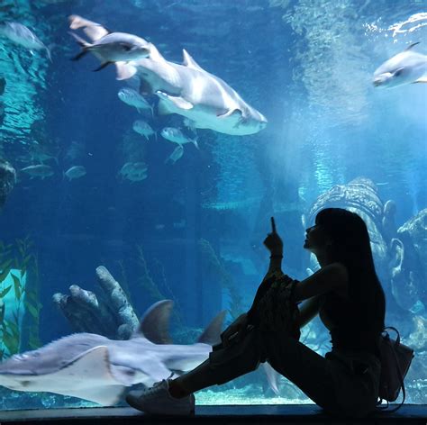 To Me Eee To Me Eee Added A New Photo