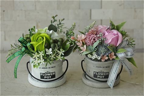 파주 운정 빛이 없는 창가에 올려 놓기 좋은 비누꽃화분 써니플라워 운정꽃집