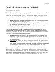 Understanding The Skeletal Structure And Functions Course Hero
