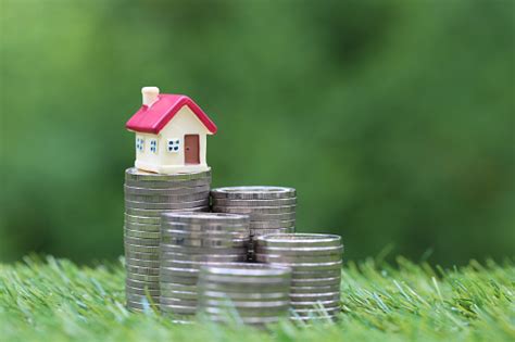 금융 자연 녹색 배경에 동전 돈의 스택에 모델 하우스 비즈니스 투자 및 부동산 개념에 대한 스톡 사진 및 기타 이미지 개념