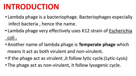 Lambda Phage And Their Reproduction Pptx Biological Sciences Science