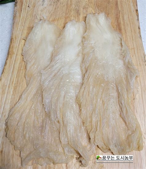 묵은지참치김밥