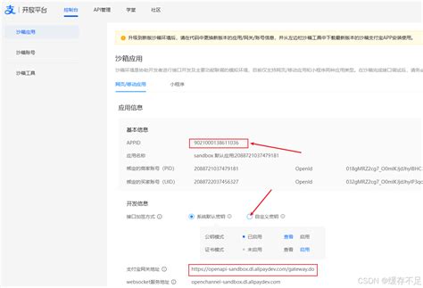 Springboot对接支付宝沙箱支付springboot接入支付宝沙箱 Csdn博客