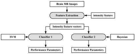 A Review On A Deep Learning Perspective In Brain Cancer Classification