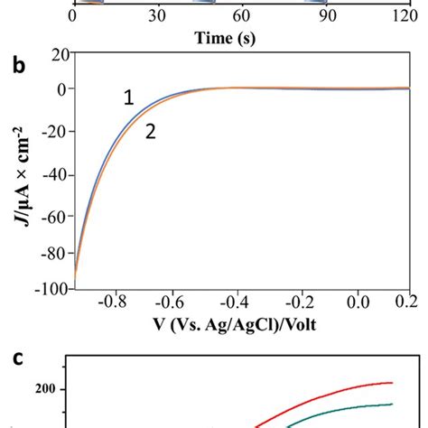 Morphology Of Tio2 Ti And Te Tio2 Ti Ntas A B Low And High Download Scientific Diagram